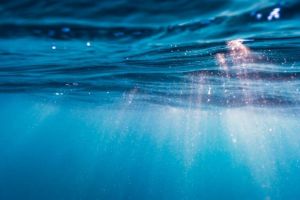 Blue Endeavour - Marlborough Chamber of Commerce New Zealand